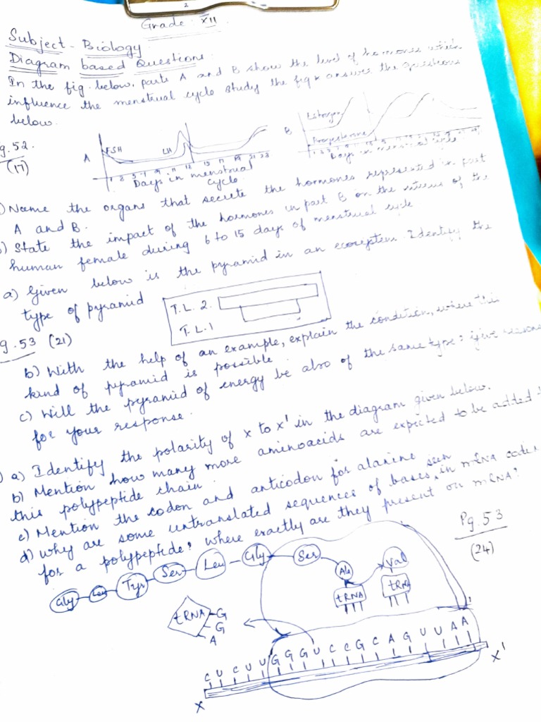 diagram based questions with answers | PDF | Biochemistry | Chemistry