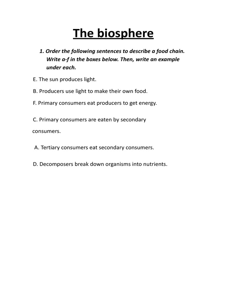 The Biosphere Answers | PDF