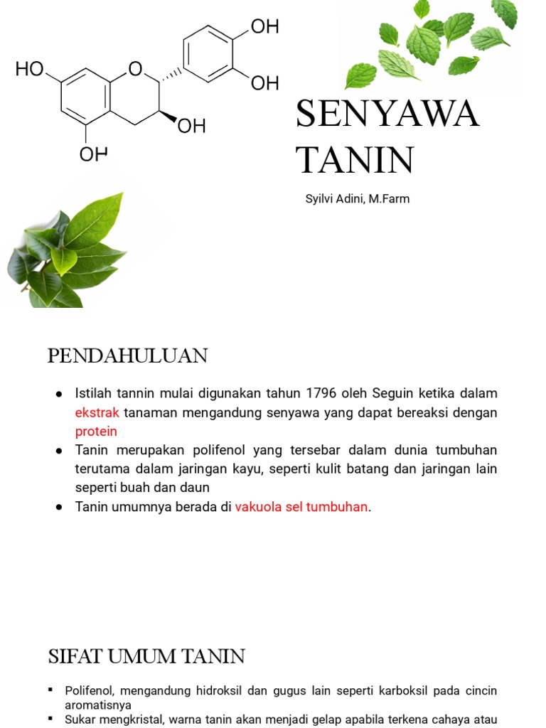 Tanin | PDF | Memasak, Makanan, & Anggur | Kesehatan Holistik