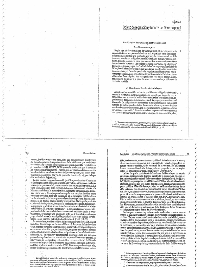 Frister, Helmut, Derecho Penal. Parte General - Capítulo 1 | PDF