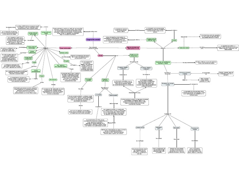 Cognición Social Mapa Conceptual Final Pdf Pdf