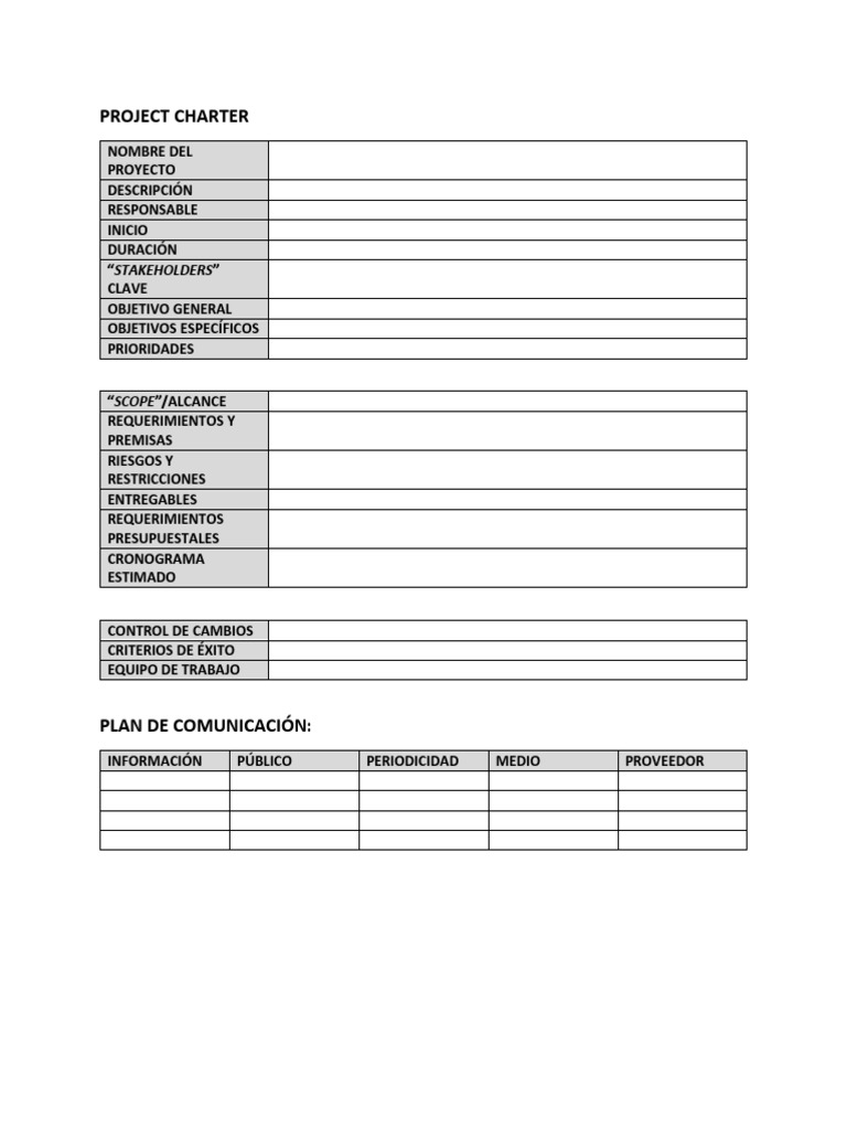 5 Project Charter Template - 3 - Blank | PDF