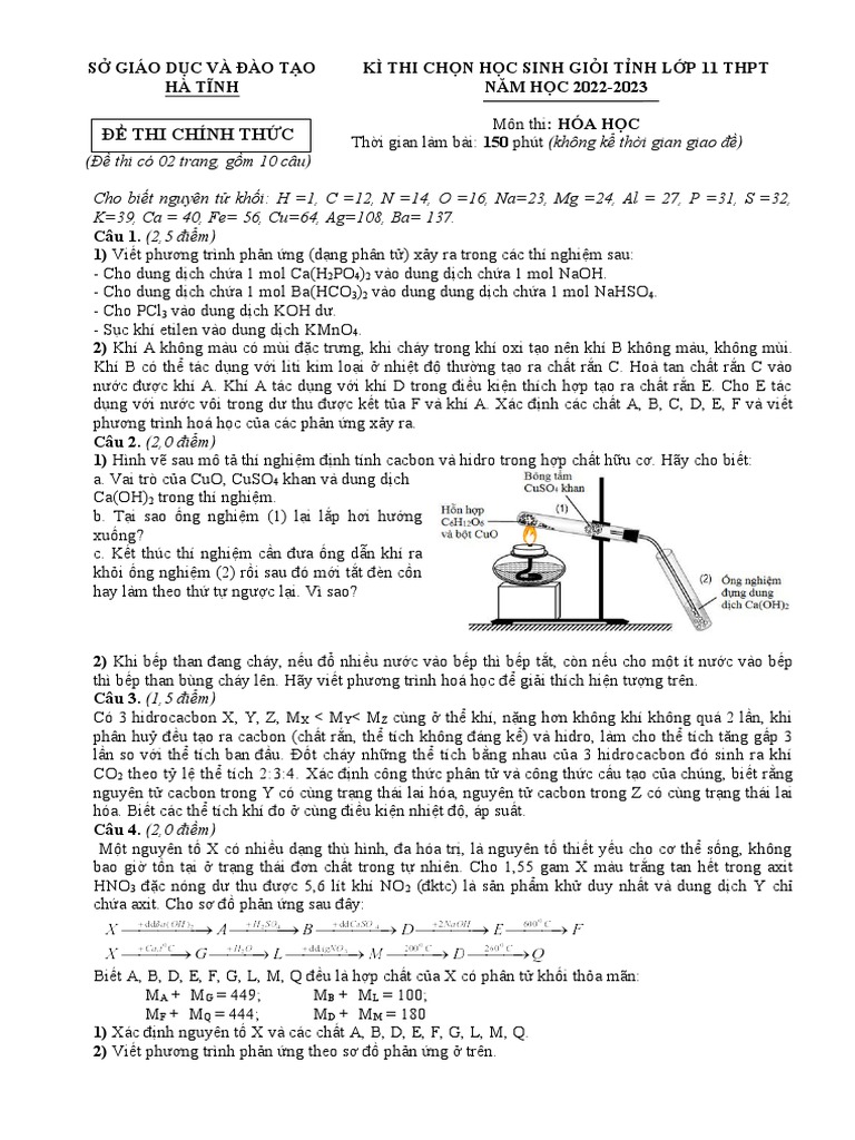 HSG 11 Hà Tĩnh 2022 - 2023 | PDF