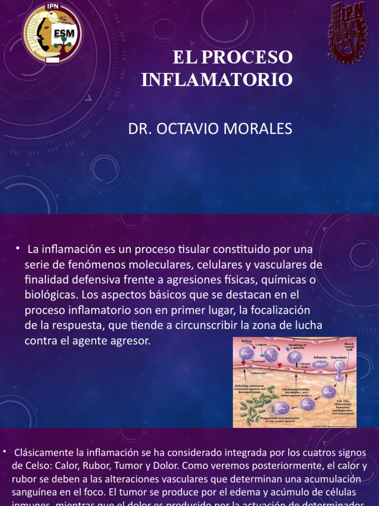 Proceso Inflamatorio: Fases y Mediadores | PDF | Inflamación | Sistema ...