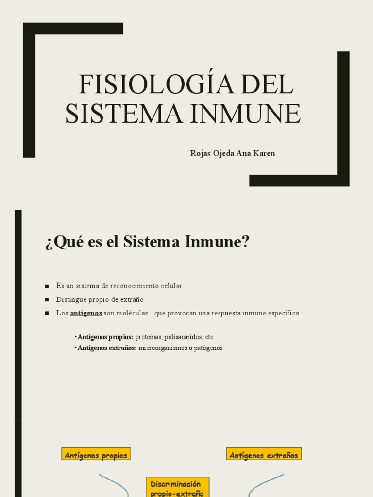 Fisiología Del Sistema Inmune | PDF | Sistema inmune | Linfocitos