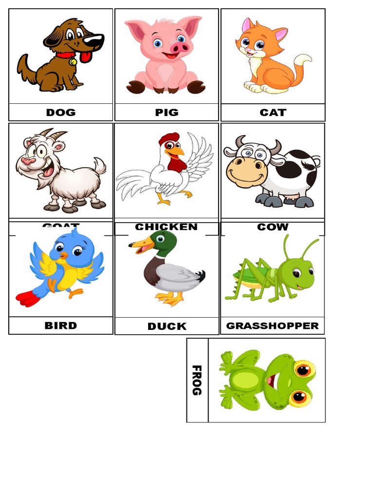 Animal Flash Card Gumpil | PDF