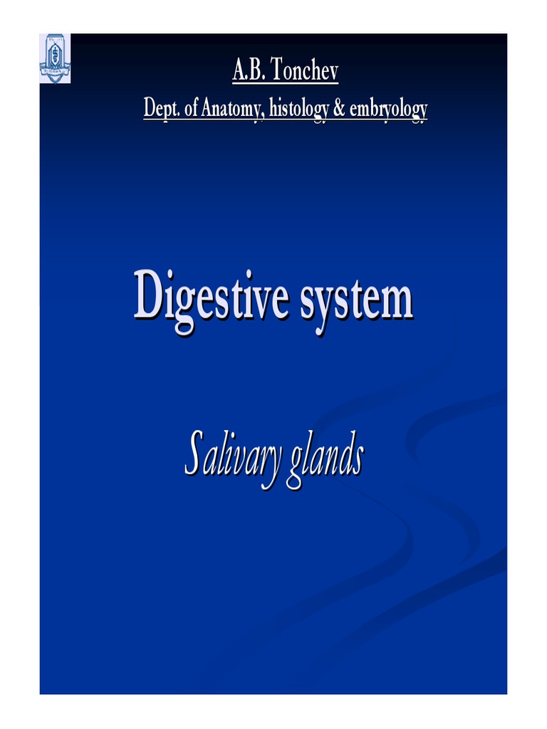 Saliv Pharynx Esoph Slides | PDF | Esophagus | Tongue