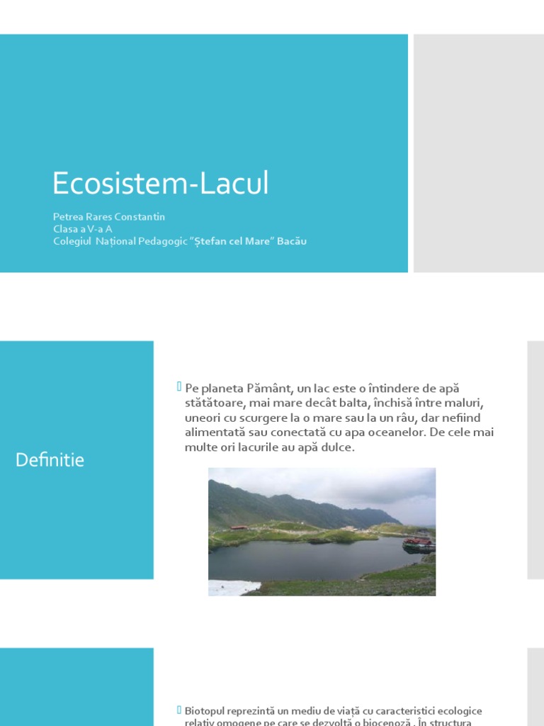 Proiect Ecosistem | PDF