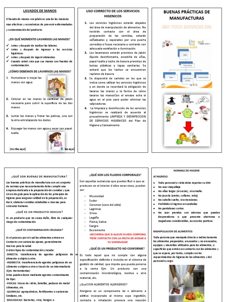 Triptico BPM | PDF | Alimentos | Lavado de manos