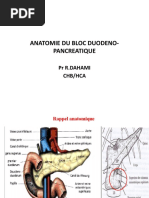Anatomie Topographique de La Cavité Abdominale Et Péritonéale | PDF ...