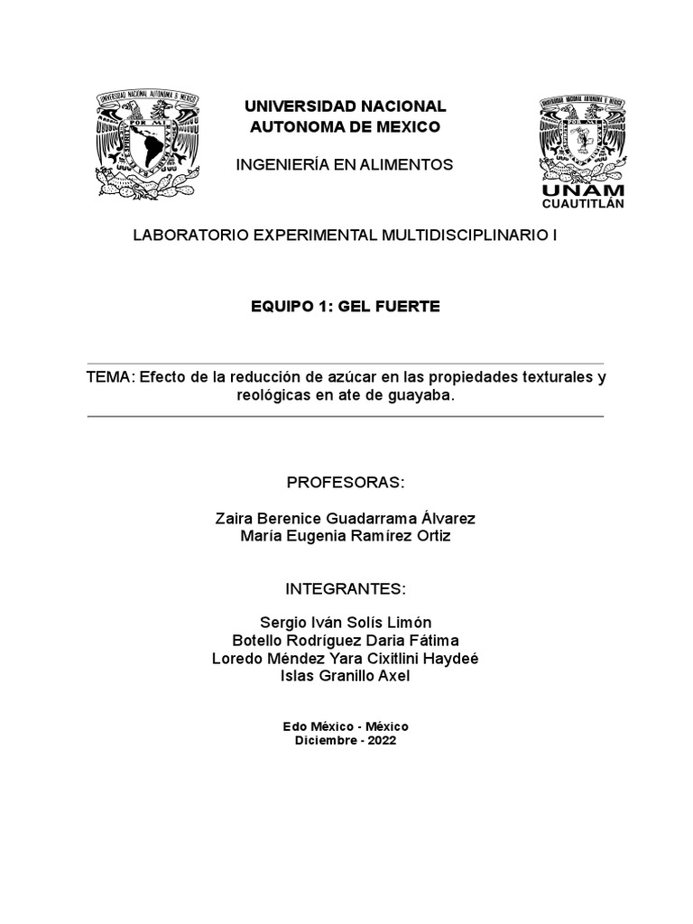 Documento Final | PDF