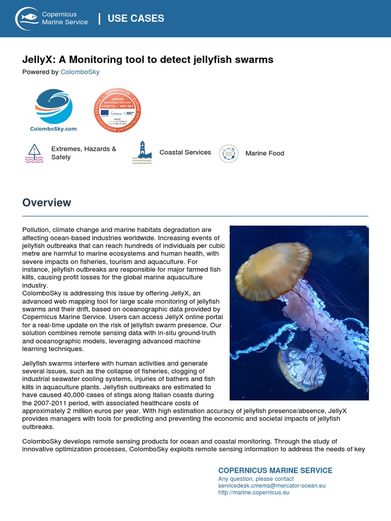 JellyX A Monitoring Tool To Detect Jellyfish Swarms | PDF | Oceans | Sea