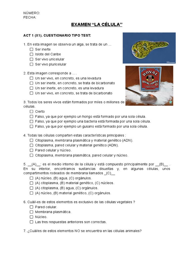2.examen "La Célula" PDF | PDF | Biología Celular) | Plantas