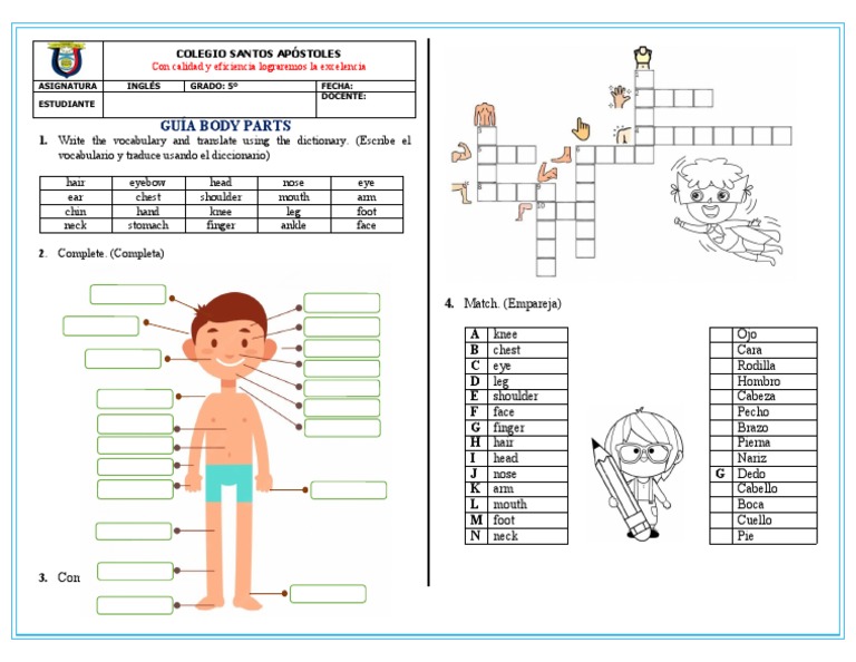 Guía Body Parts | PDF