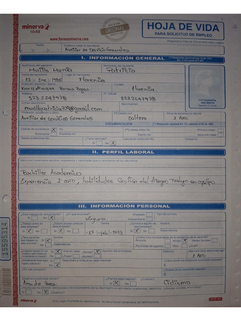 Hoja de Vida Patricia | PDF