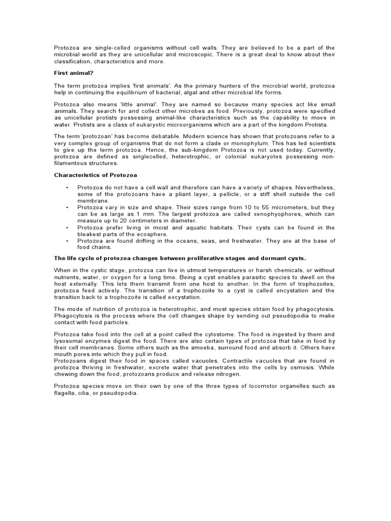 Reading The Major Classification and Characteristics of Protozoa | PDF ...