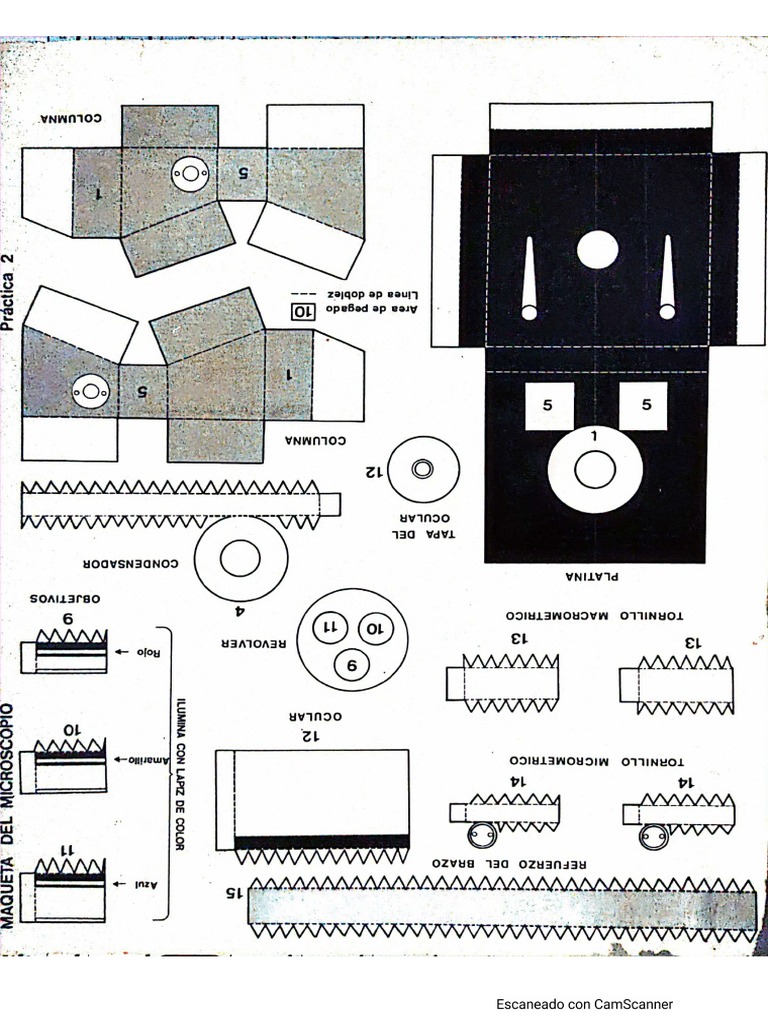 Maqueta de Microscopio PDF | PDF