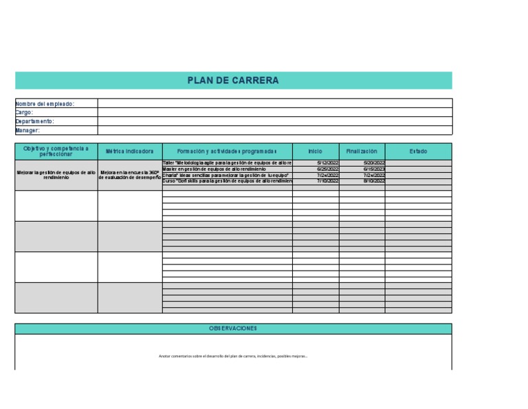 Plantilla Plan Desarrollo Profesional | PDF