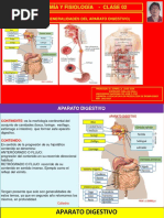 Istmo de Las Fauces | PDF | Boca | Anatomía humana