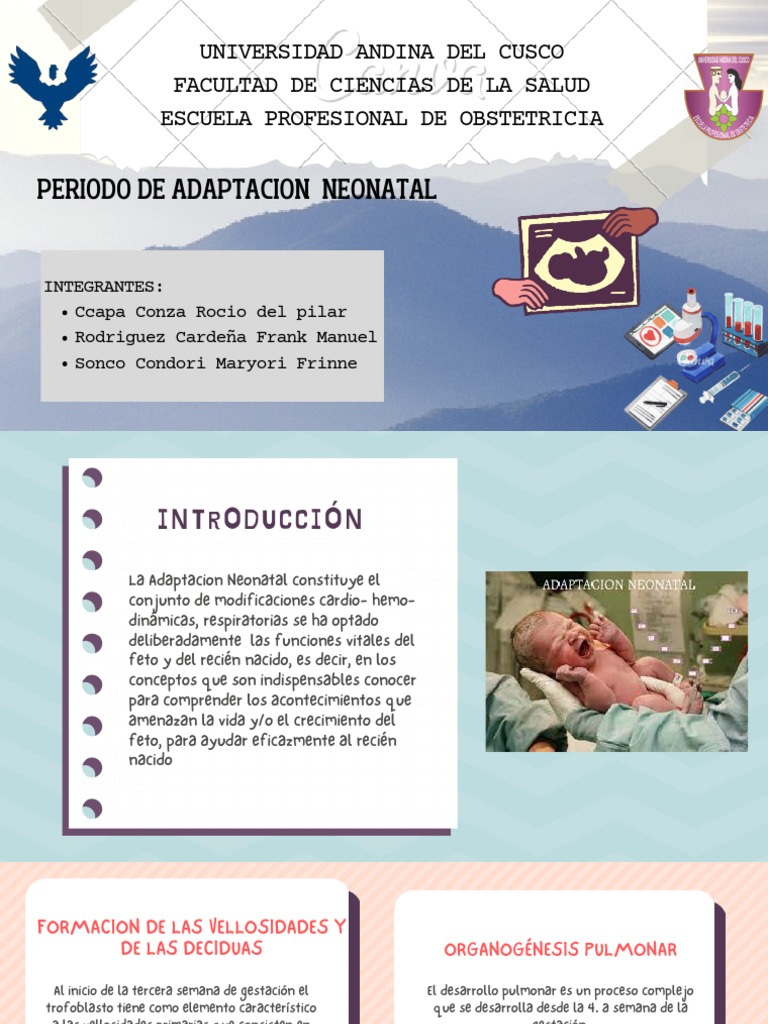 Periodo de Adaptacion 11-03-2023 Neonatal | PDF | Feto | Placenta