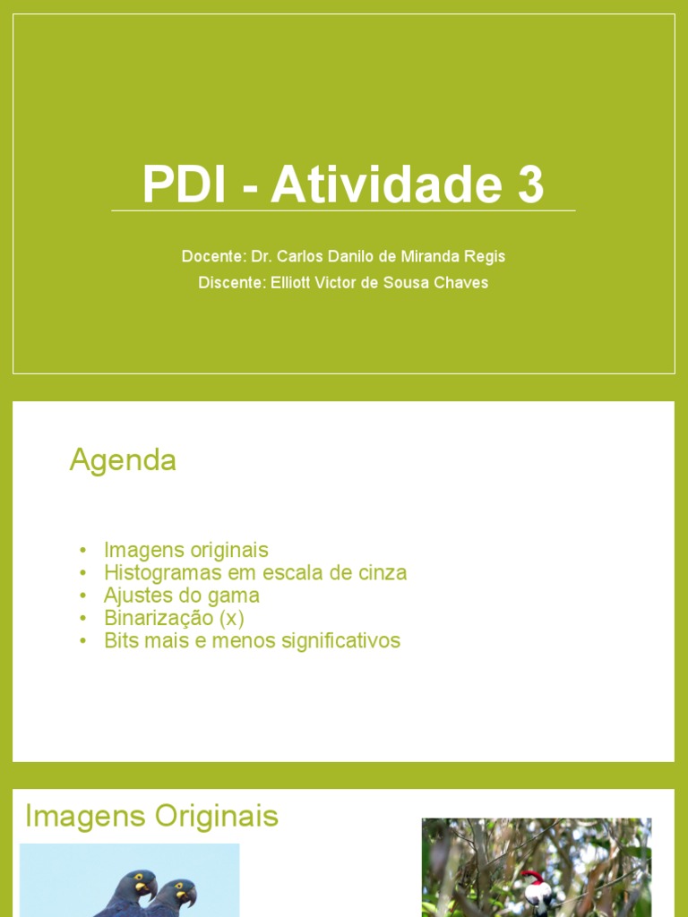 PDI - Atividade 3 PDF | PDF