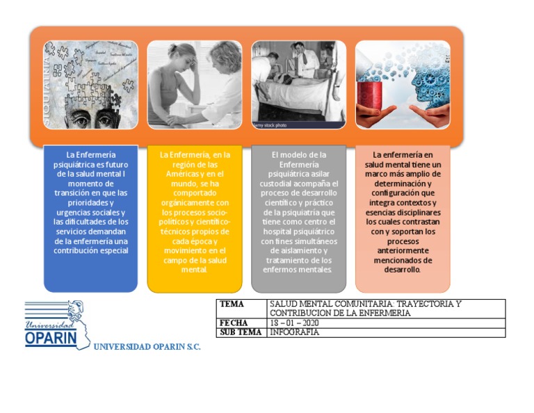 Modelo Asilar en Enfermería Psiquiátrica | PDF