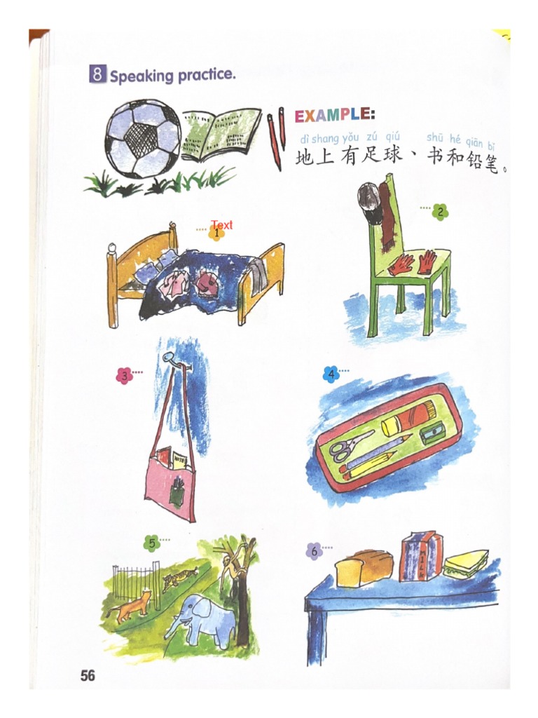 Chinese Speaking Practice. | PDF