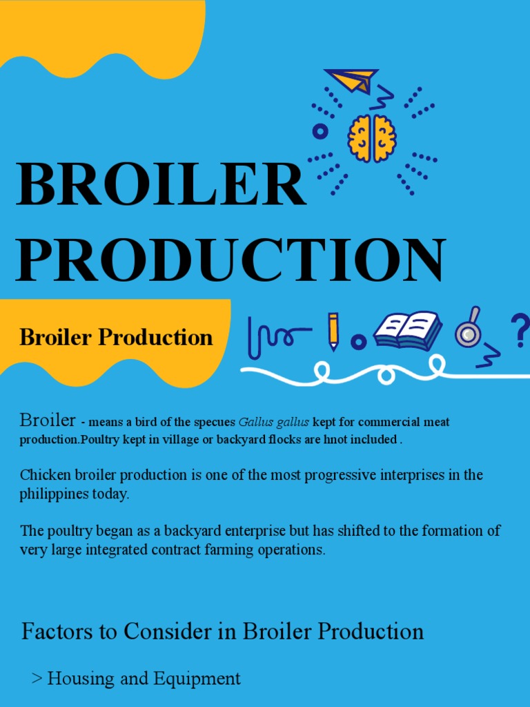 Broiler Chicken Production Guide | PDF | Broiler | Chicken