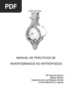 Anatomía del Escorpión: Guía Completa | PDF