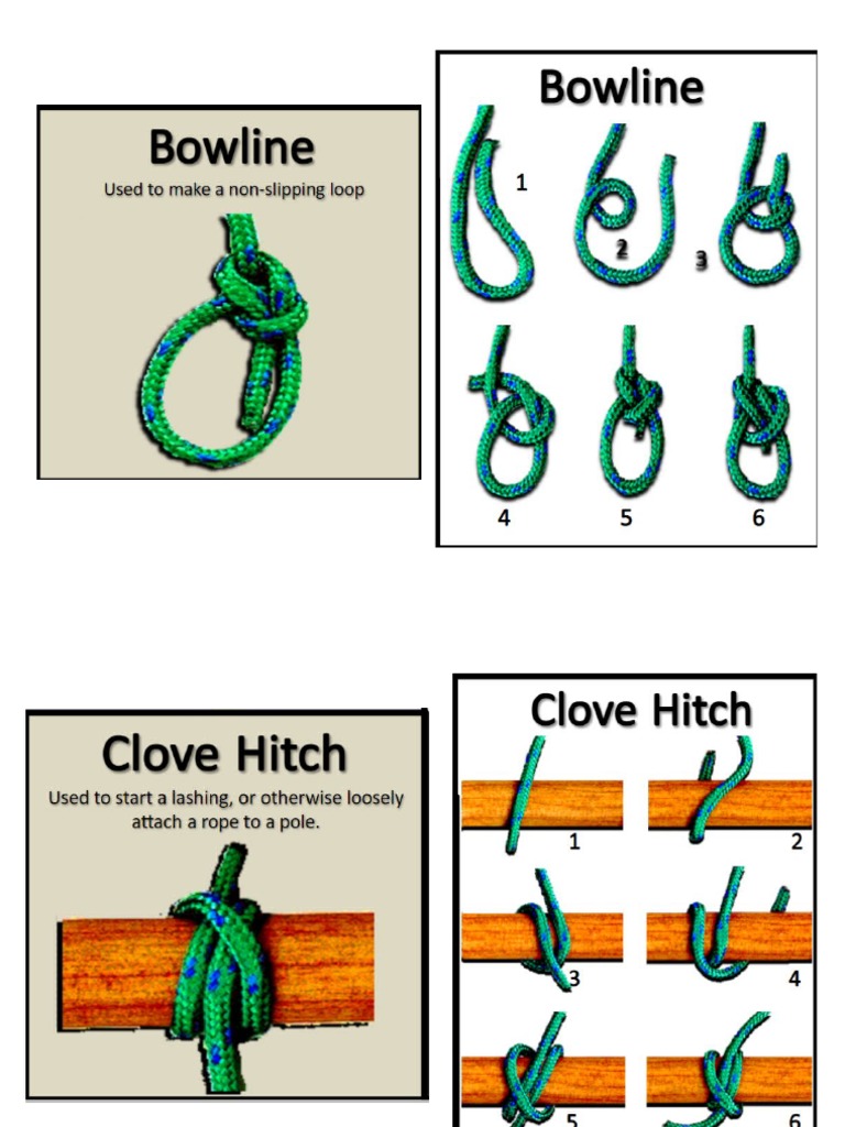 BASIC KNOTS AND ITS USES | PDF