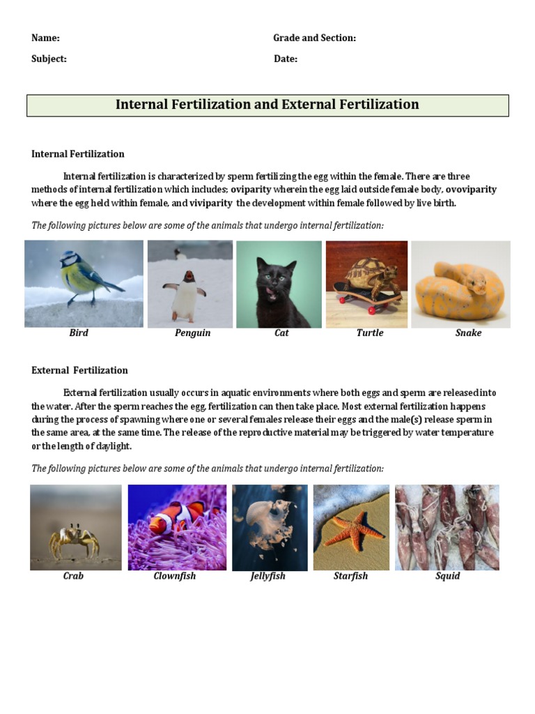 Internal and External Fertilization PDF | PDF