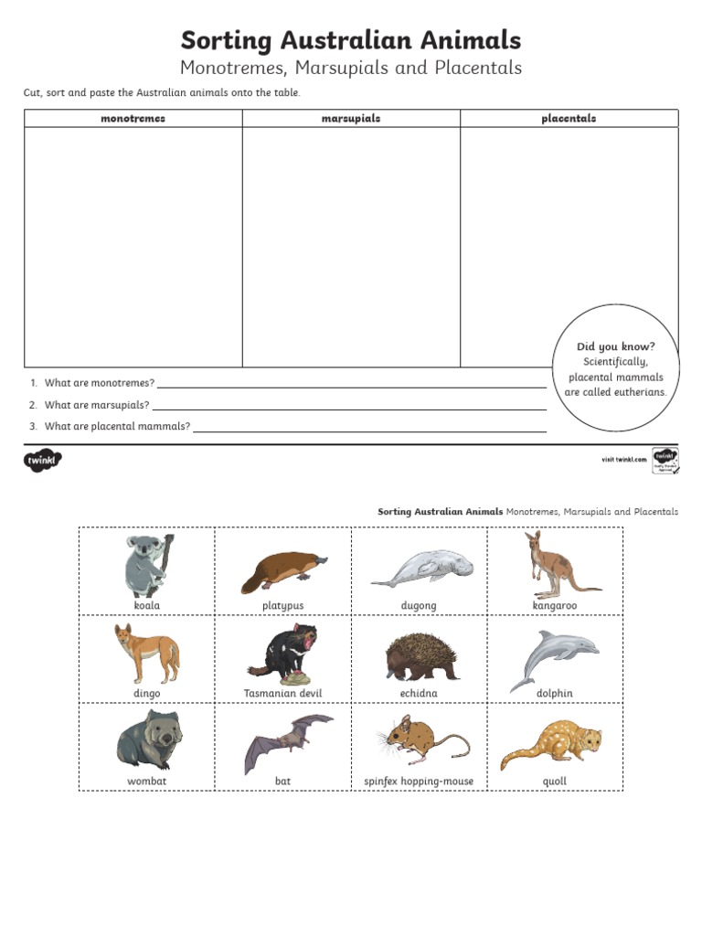 Au t2 S 1010 Monotremes Marsupials and Placentals Sorting Activity ...