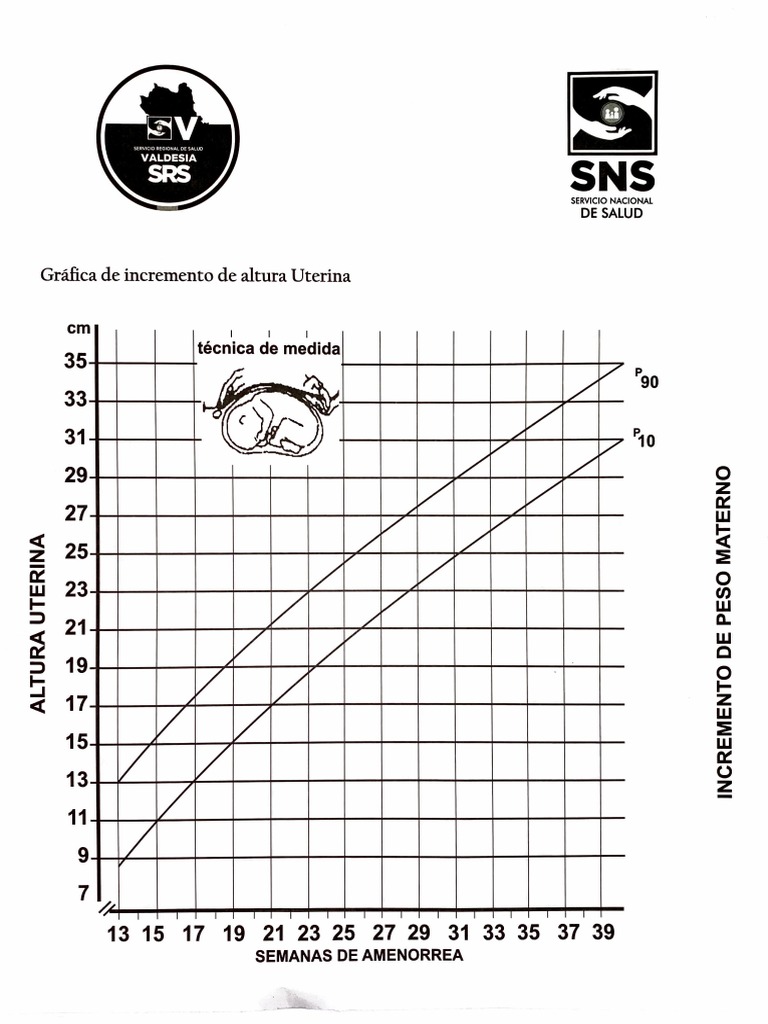 Grafico de Altura Uterina | PDF