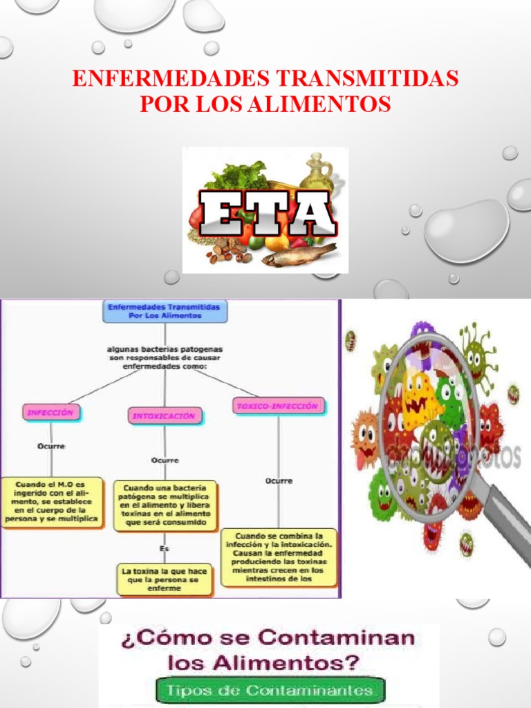 Enfermedades Transmitidas Por Los Alimentos - 080854 | PDF