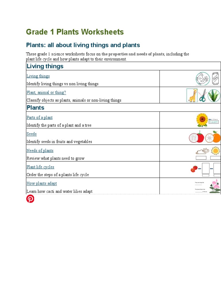 Grade 1 Plants Worksheets | PDF