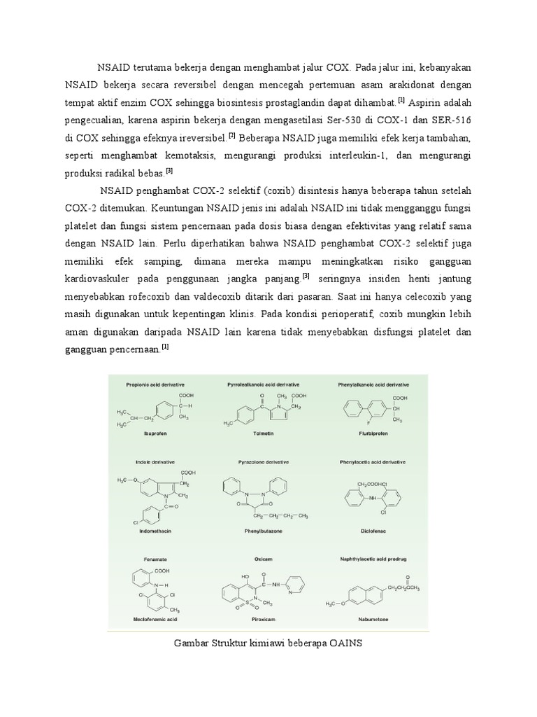 MEKANISME KERJA DAN EFEK SAMPING NSAID | PDF