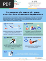 Plan Atencion Personalizada Caso ICOPE | PDF