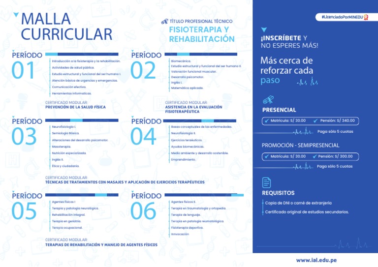 Fisioterapia y Rehabilitacion - Malla Curricular PDF | PDF | Terapia física | Medicina CLINICA