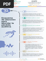 Plan.atencion.personalizada.caso.ICOPE | PDF