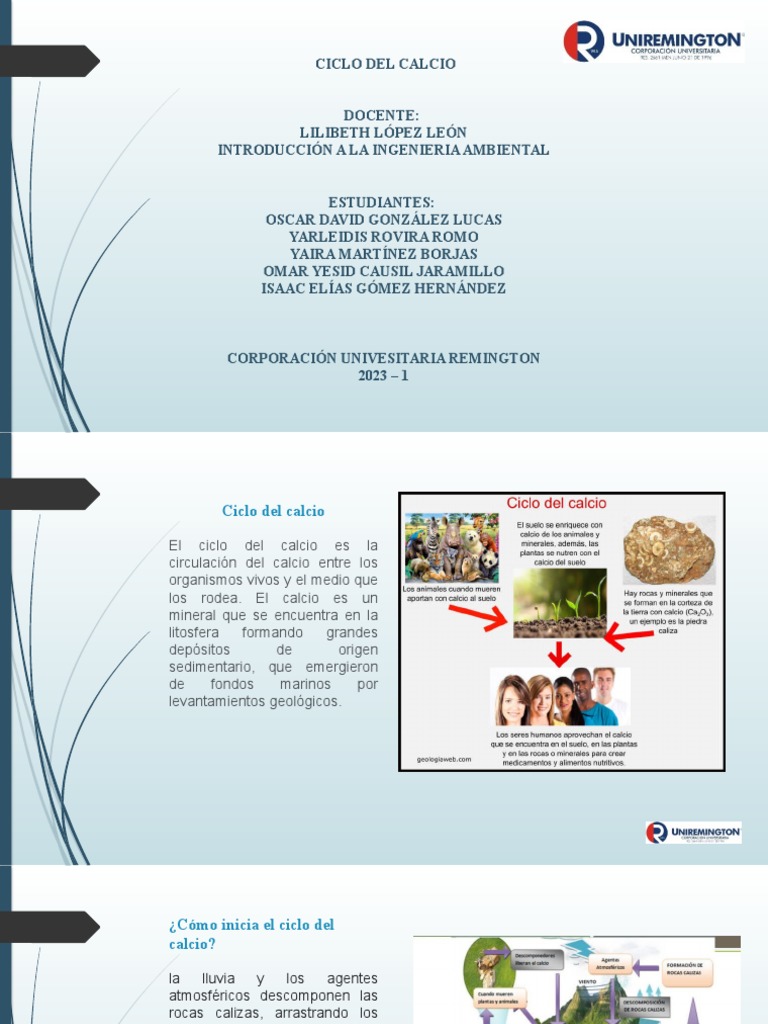 Diapositivas Ciclo Del Calcio | PDF | Calcio | Suelo