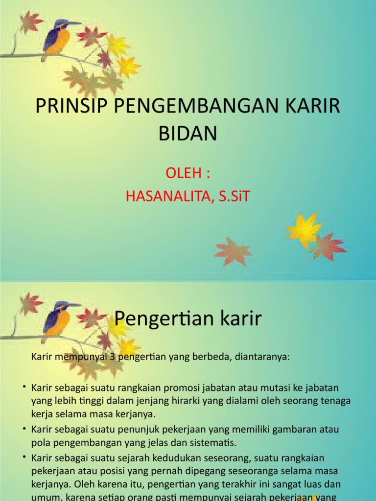 Prinsip Pengembangan Karir Bidan | PDF