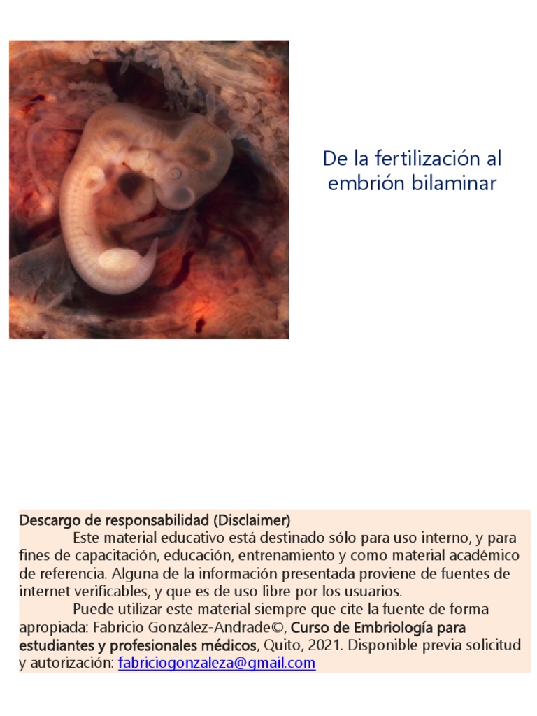 Embrio 3 - de La Fertilización Al Embrión Bilaminar 2022 | PDF | El ...