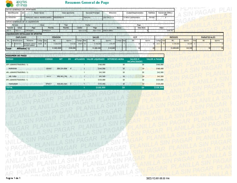 Planilla Aportes en Linea | PDF | Pensión | Beneficios para empleados