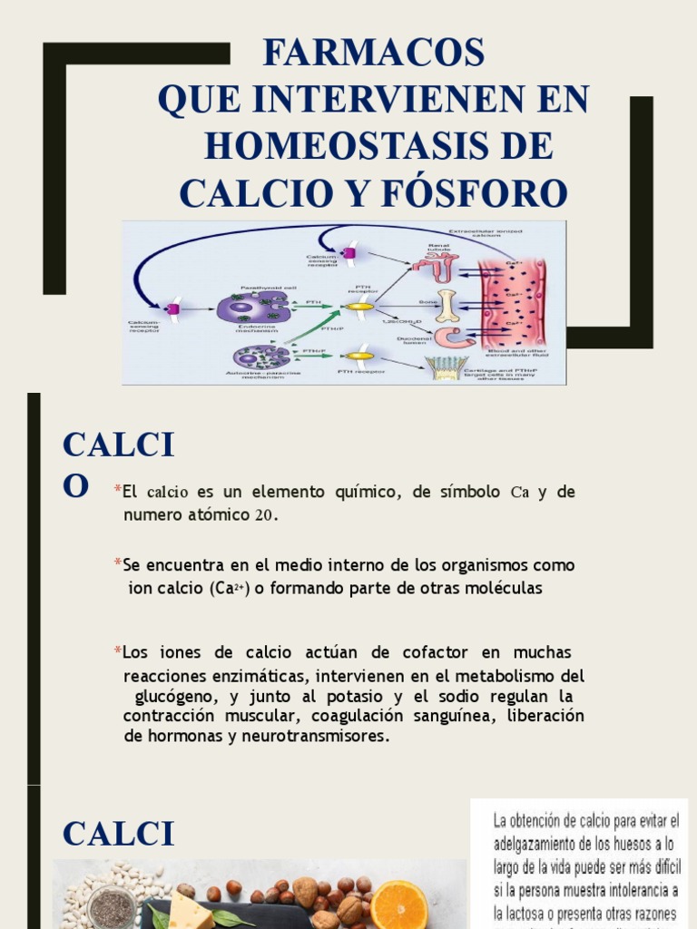 Homeostasis de Calcio y Fosforo | PDF | Calcio | Homeostasis