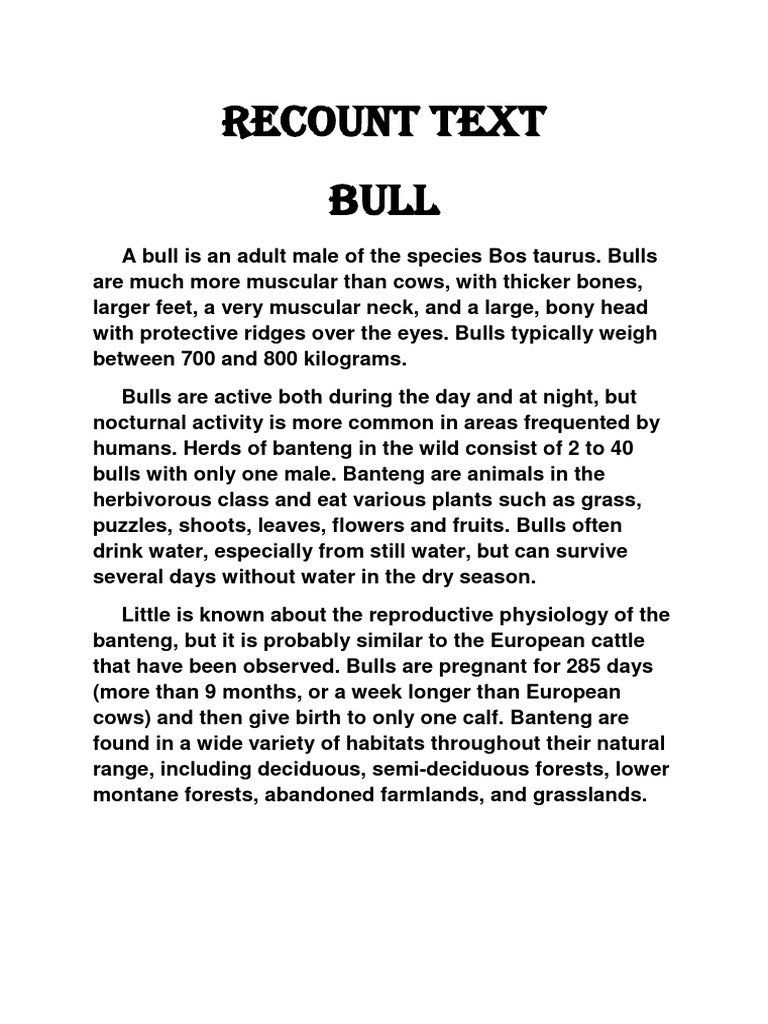 Report Text About Bull | PDF