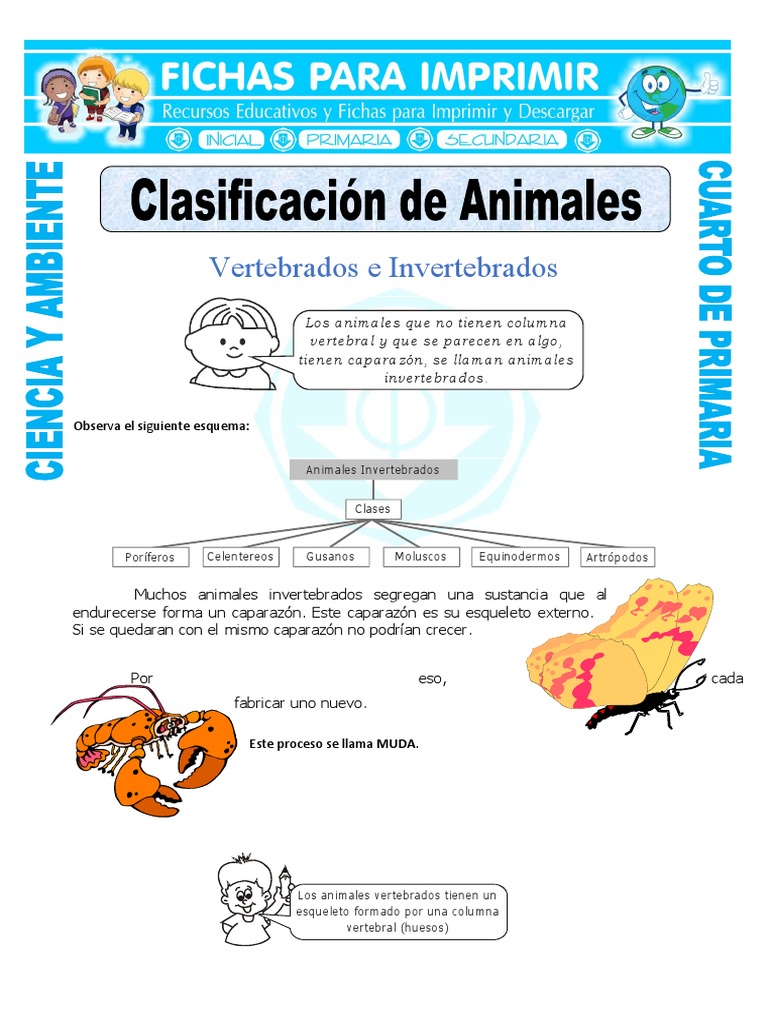 Ficha-Clasificación-de-Animales-para-Cuarto-de-Primaria (Reparado) | PDF