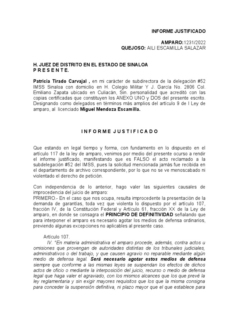Informe Justificado | PDF | Gobierno | Justicia