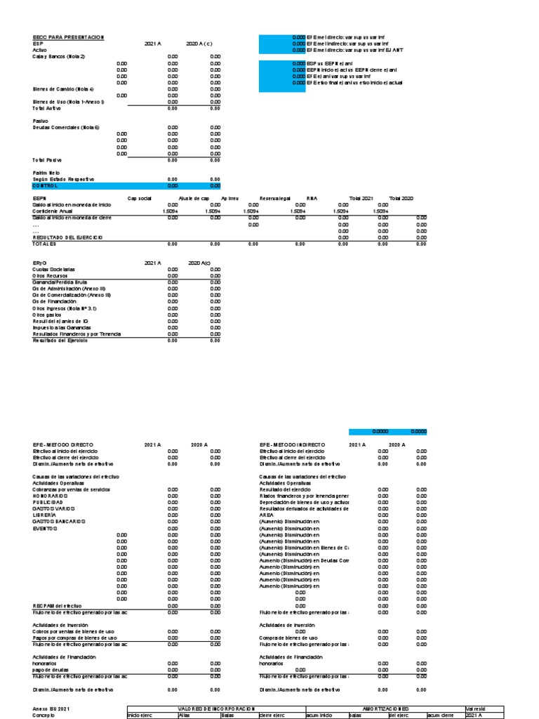 Balance 2021 para Ente Sin Fines de Lucro Ajustado Por Inflacion 4to ...