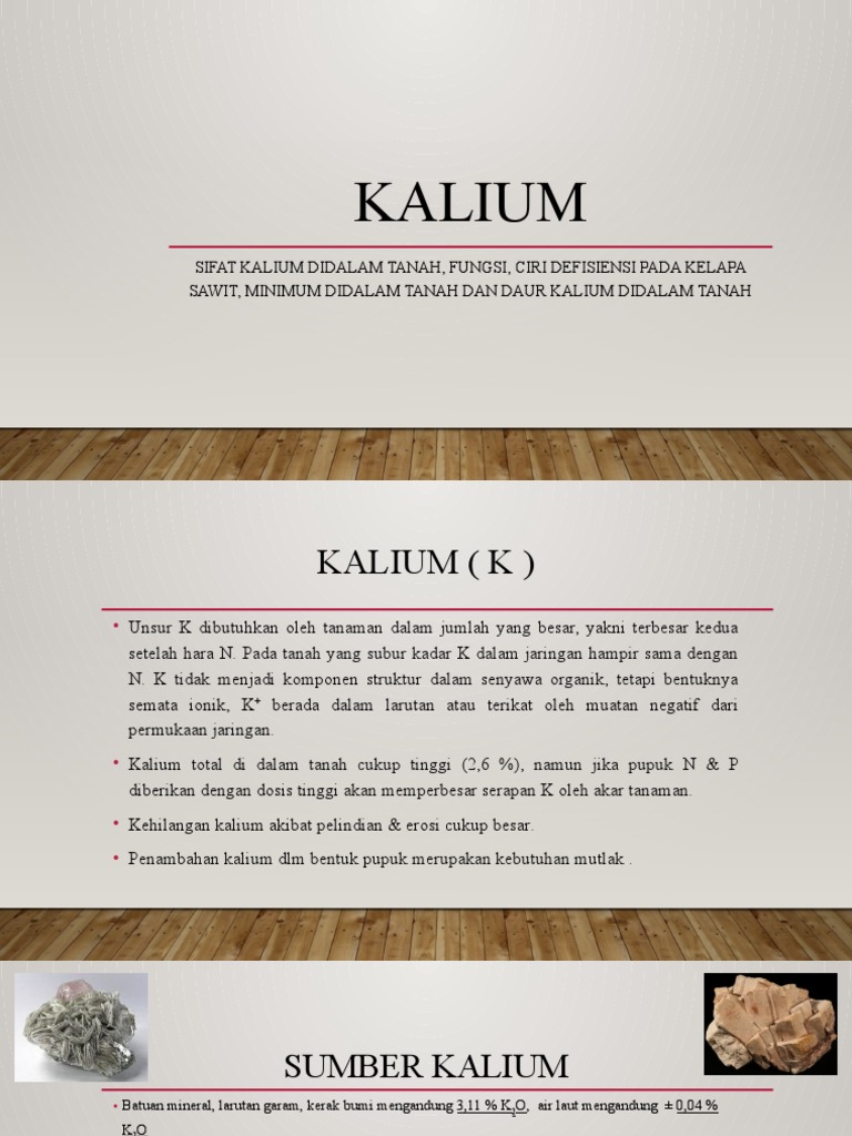 KALIUM | PDF
