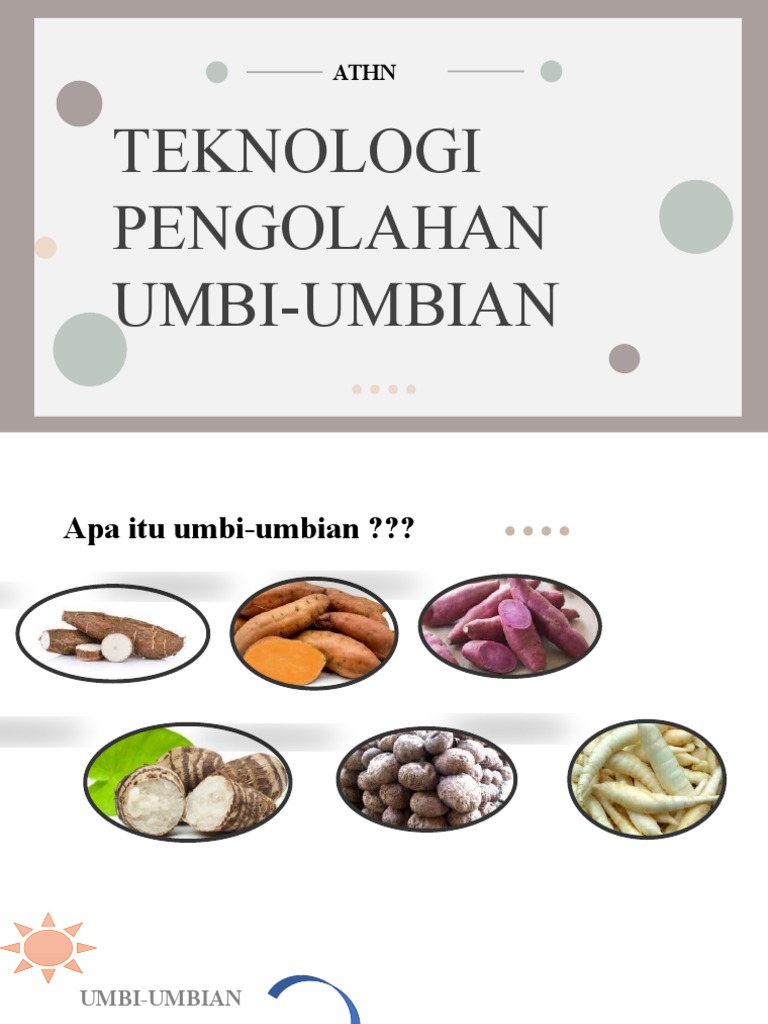 Bahan Tayang Pengolahan Umbi-Umbian | PDF